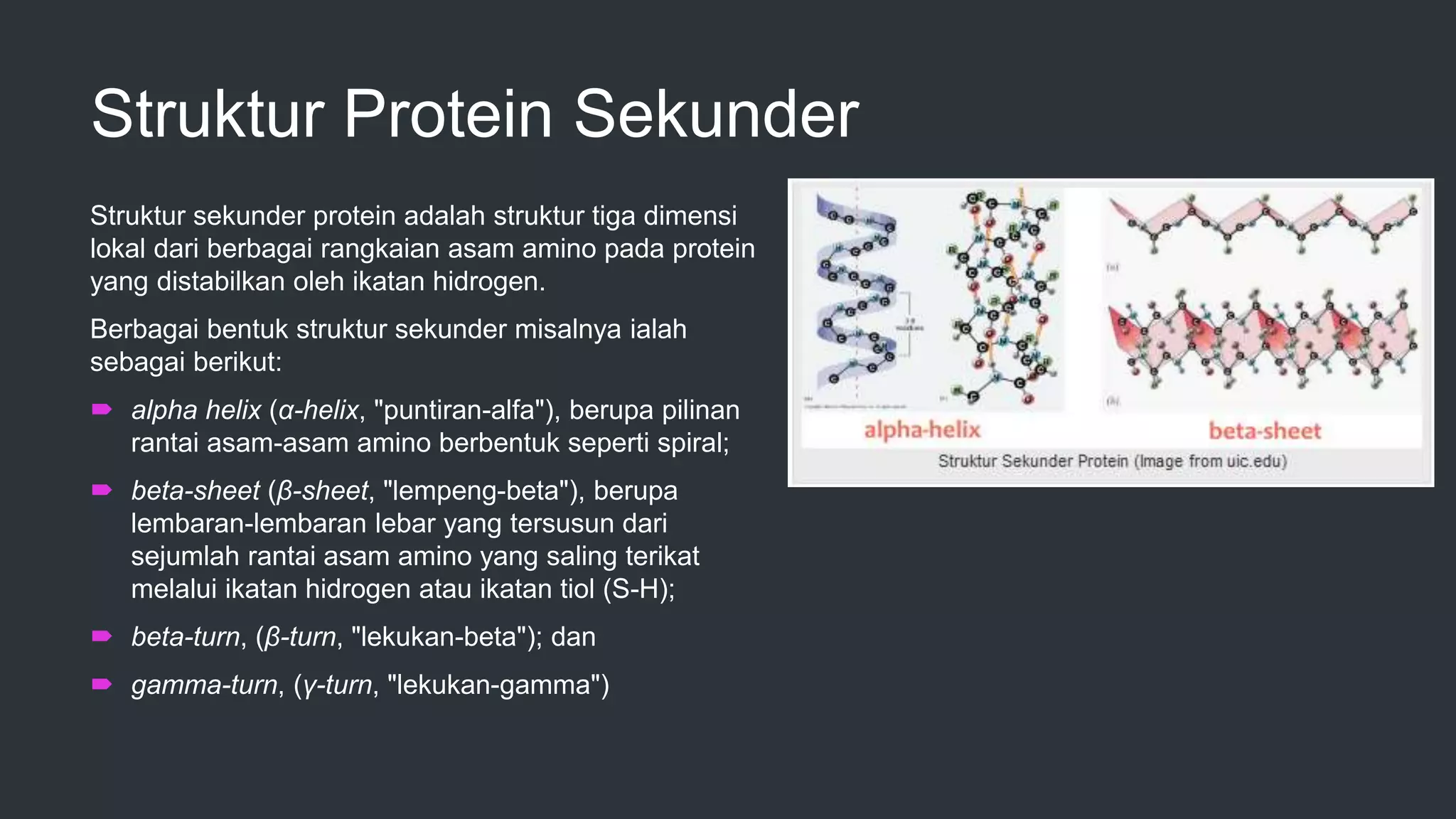 Protein biokimia | PPTX