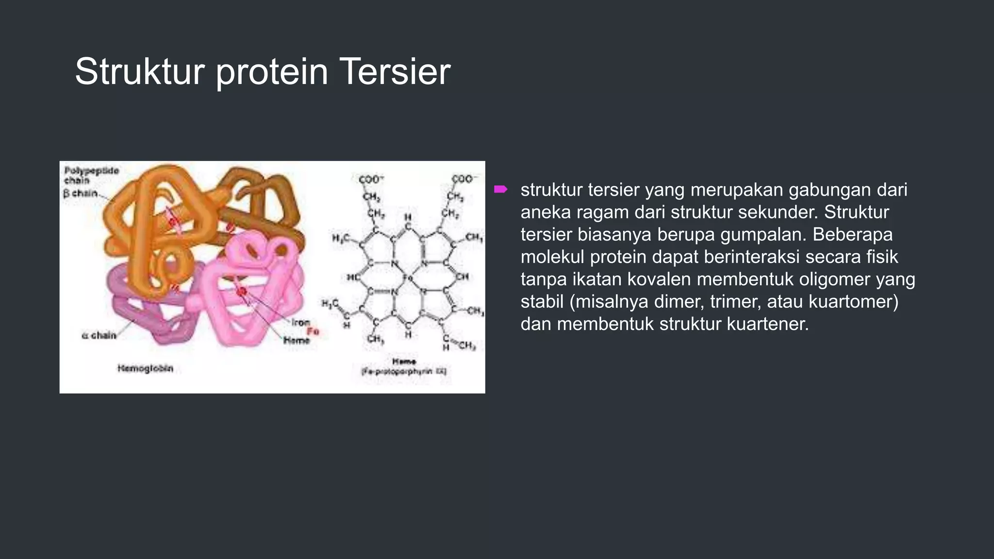 Protein biokimia | PPTX