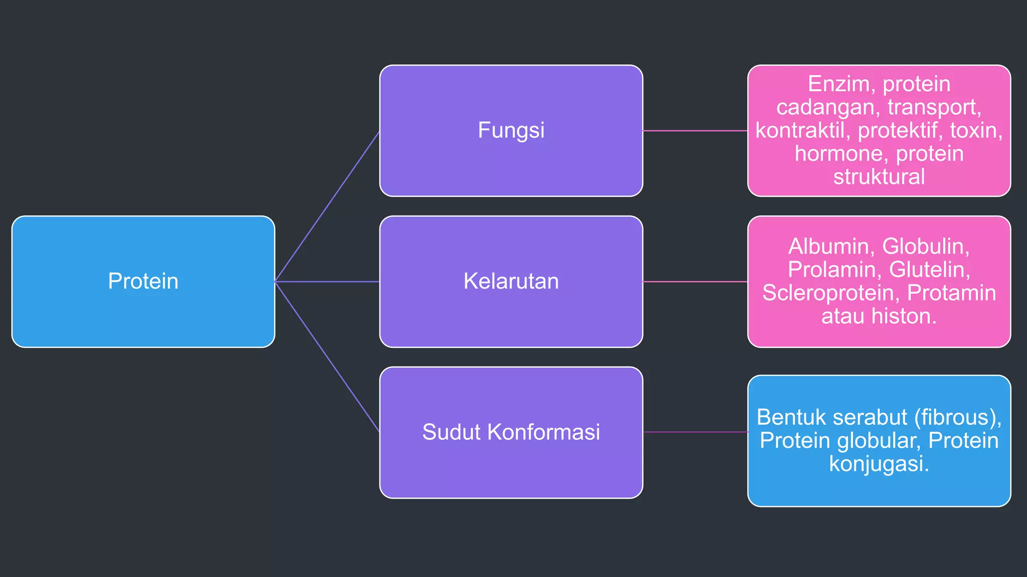 Protein biokimia | PPTX