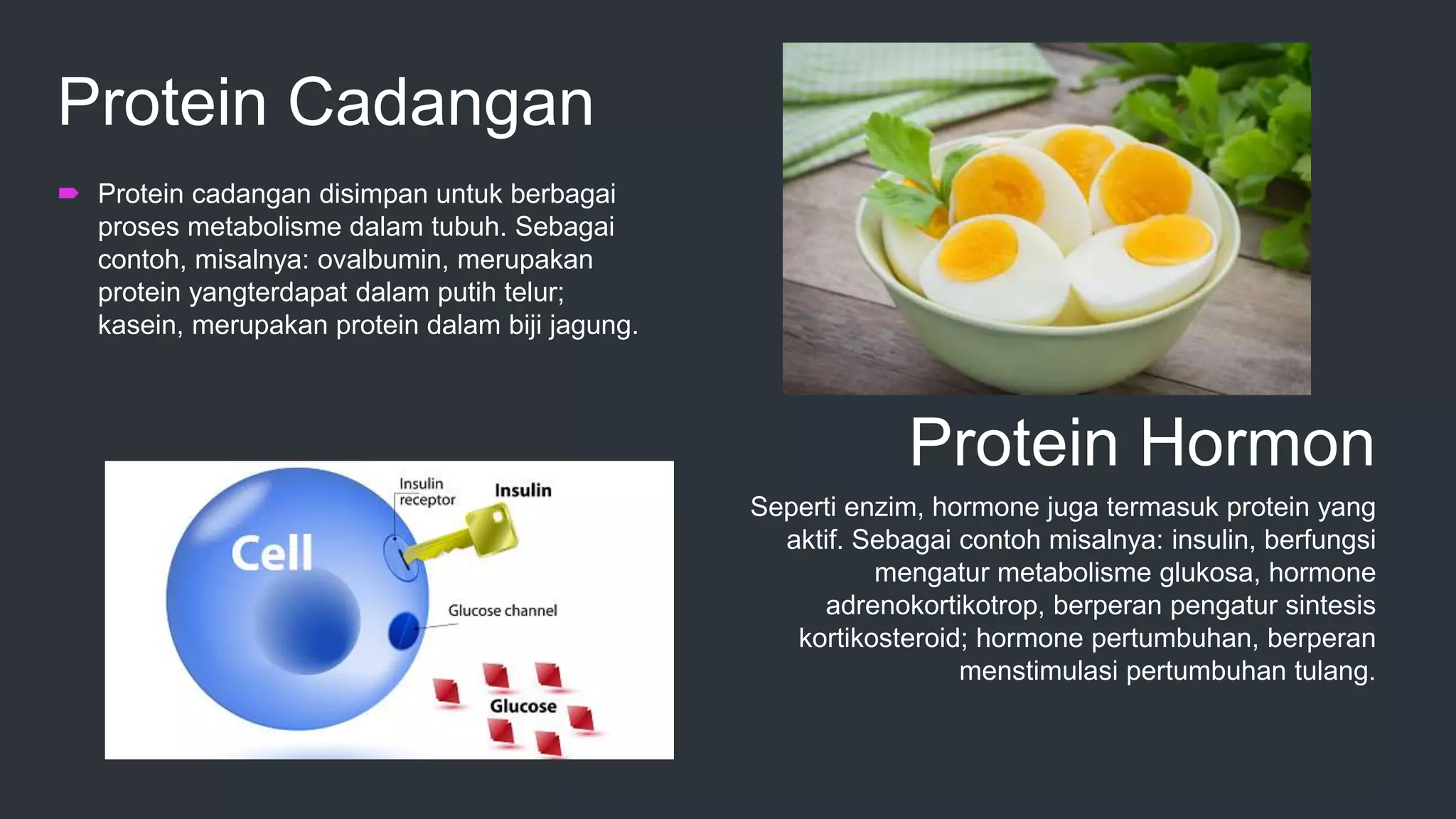 Protein biokimia | PPTX