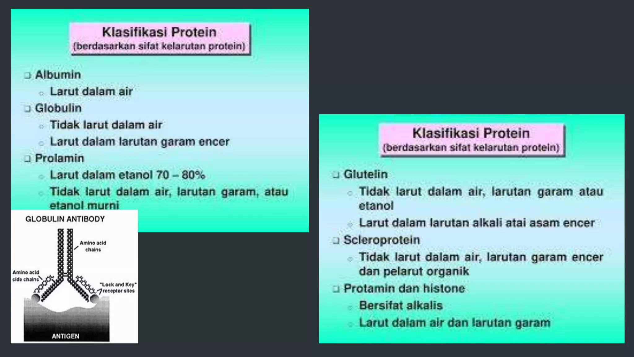 Protein biokimia | PPTX