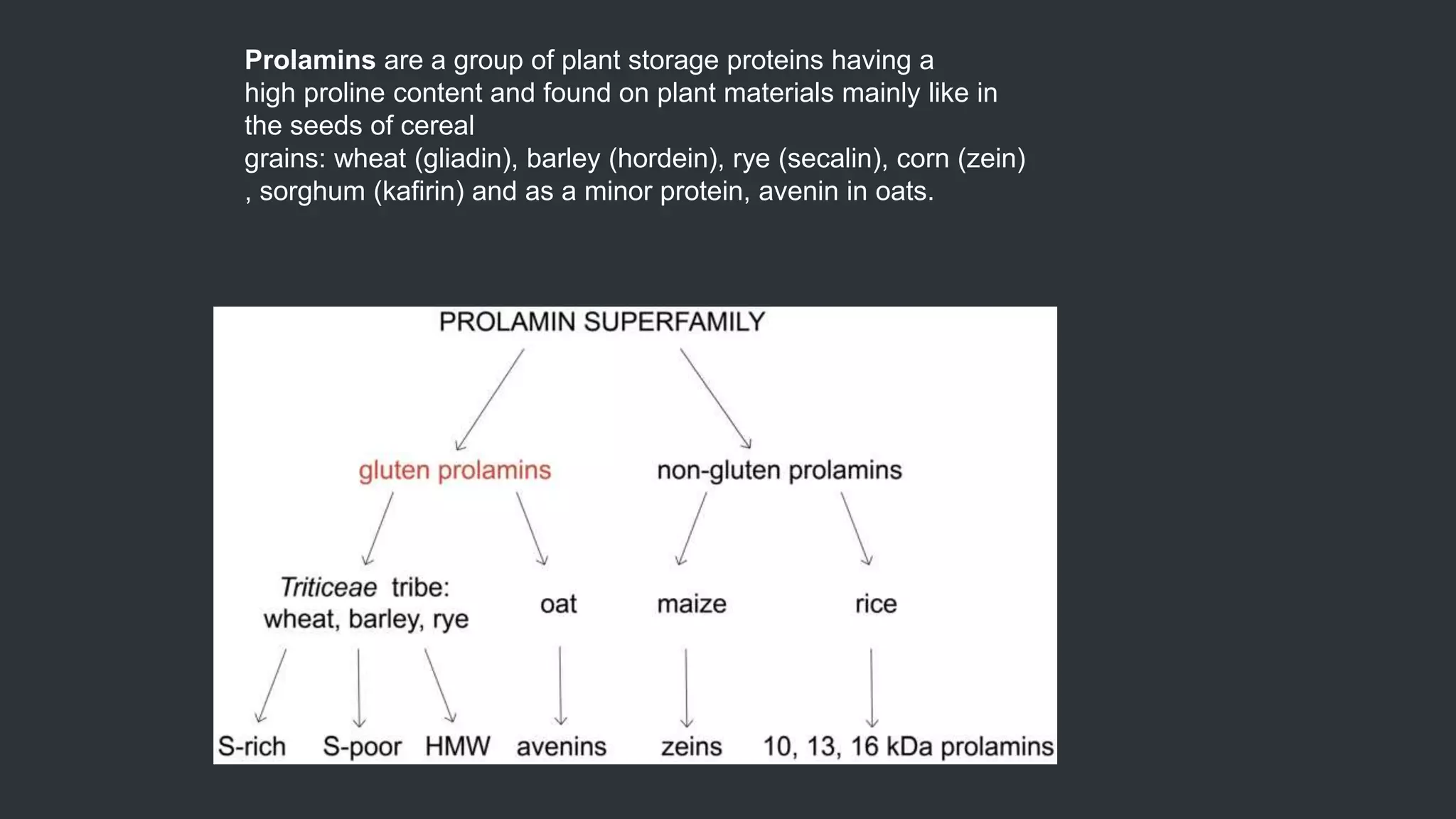Protein biokimia | PPTX
