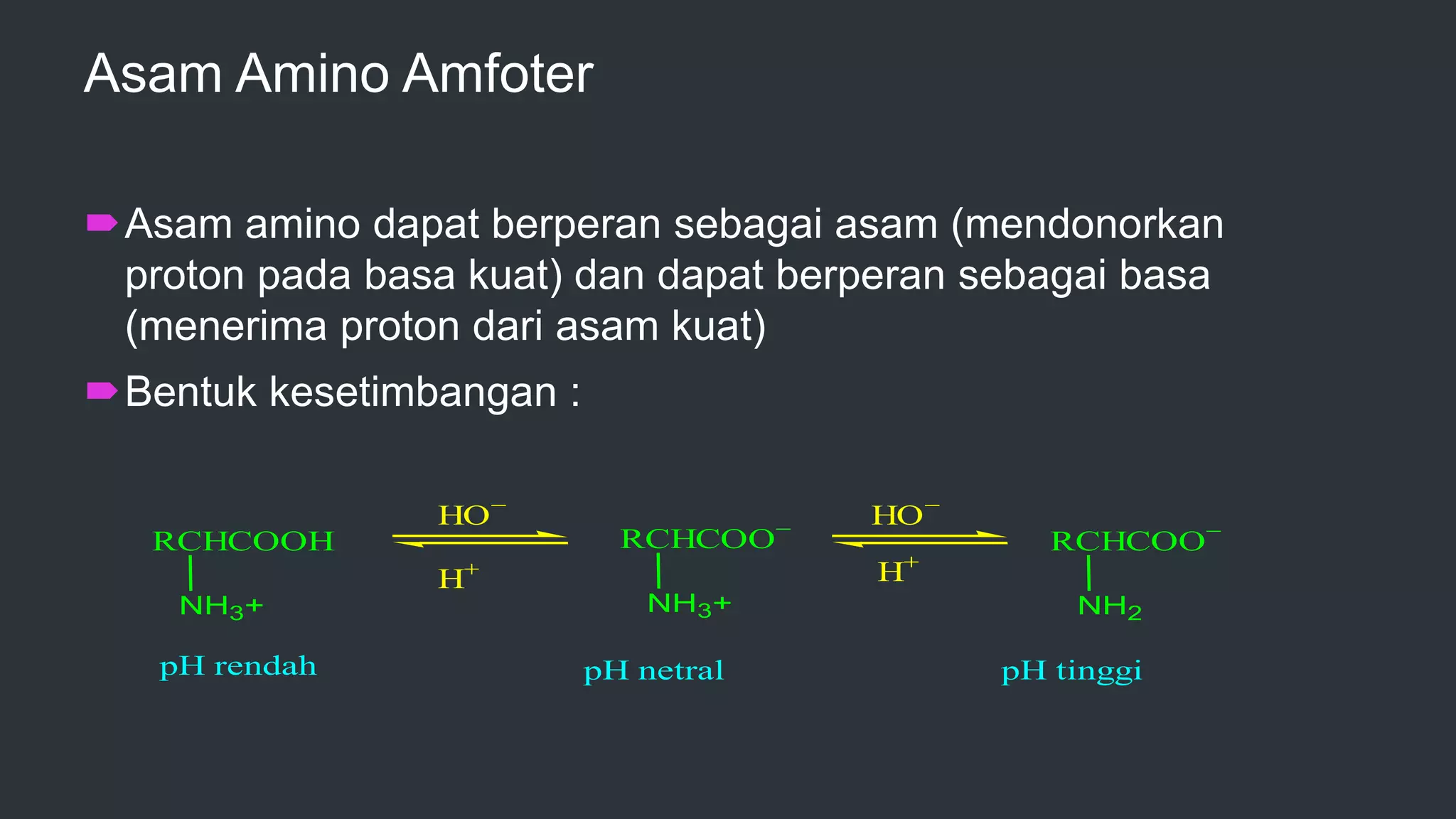 Protein biokimia | PPTX