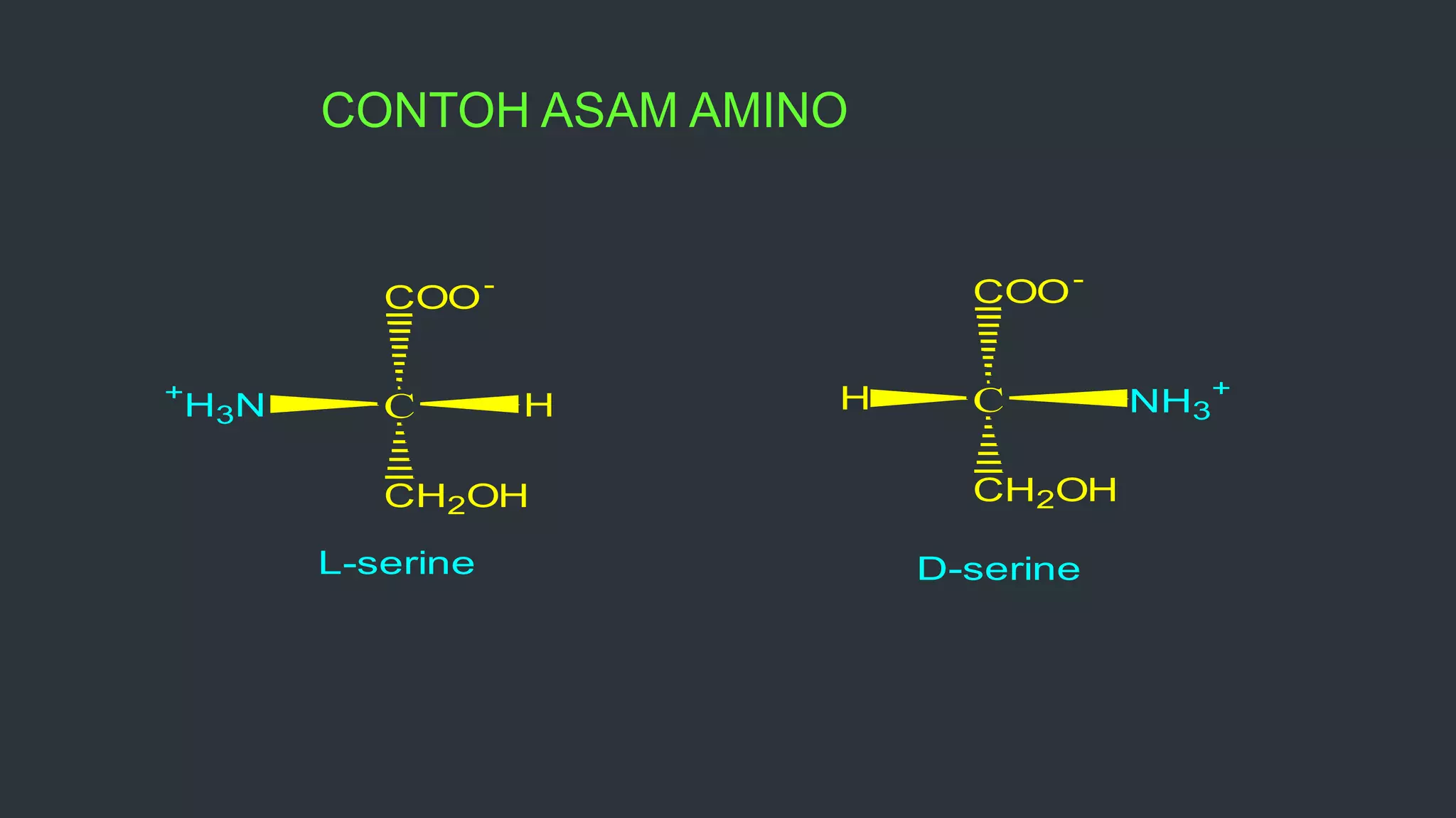 Protein biokimia | PPTX