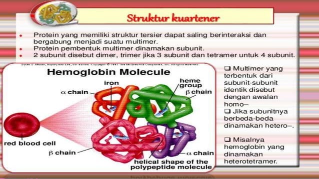 Protein biokimia | PPTX