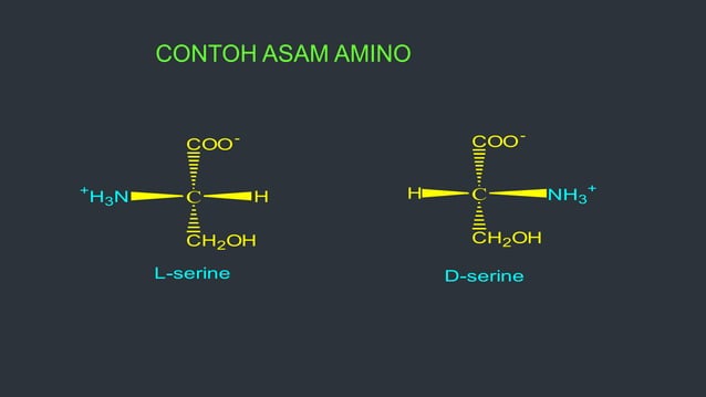 Protein biokimia | PPTX