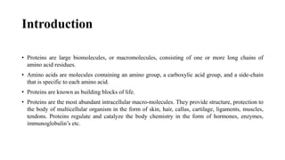 Protein (biomolecule) | PDF