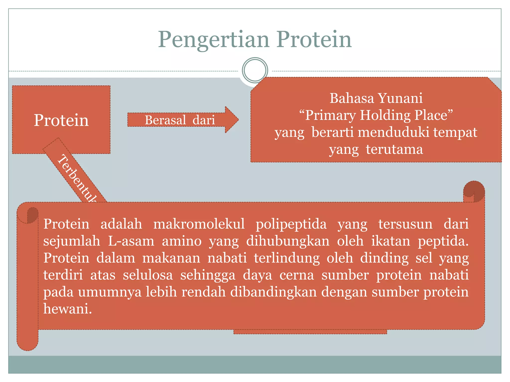 PPT PROTEIN | PPTX