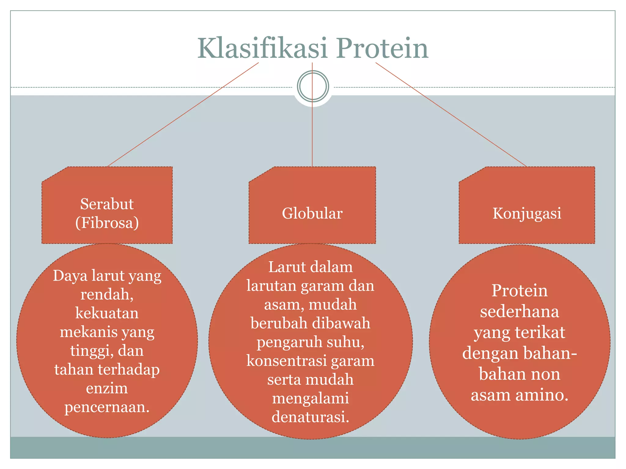 PPT PROTEIN | PPTX