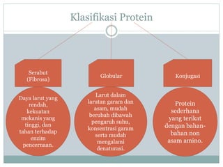 PPT PROTEIN | PPTX