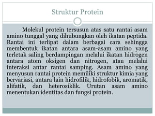 PPT PROTEIN | PPTX