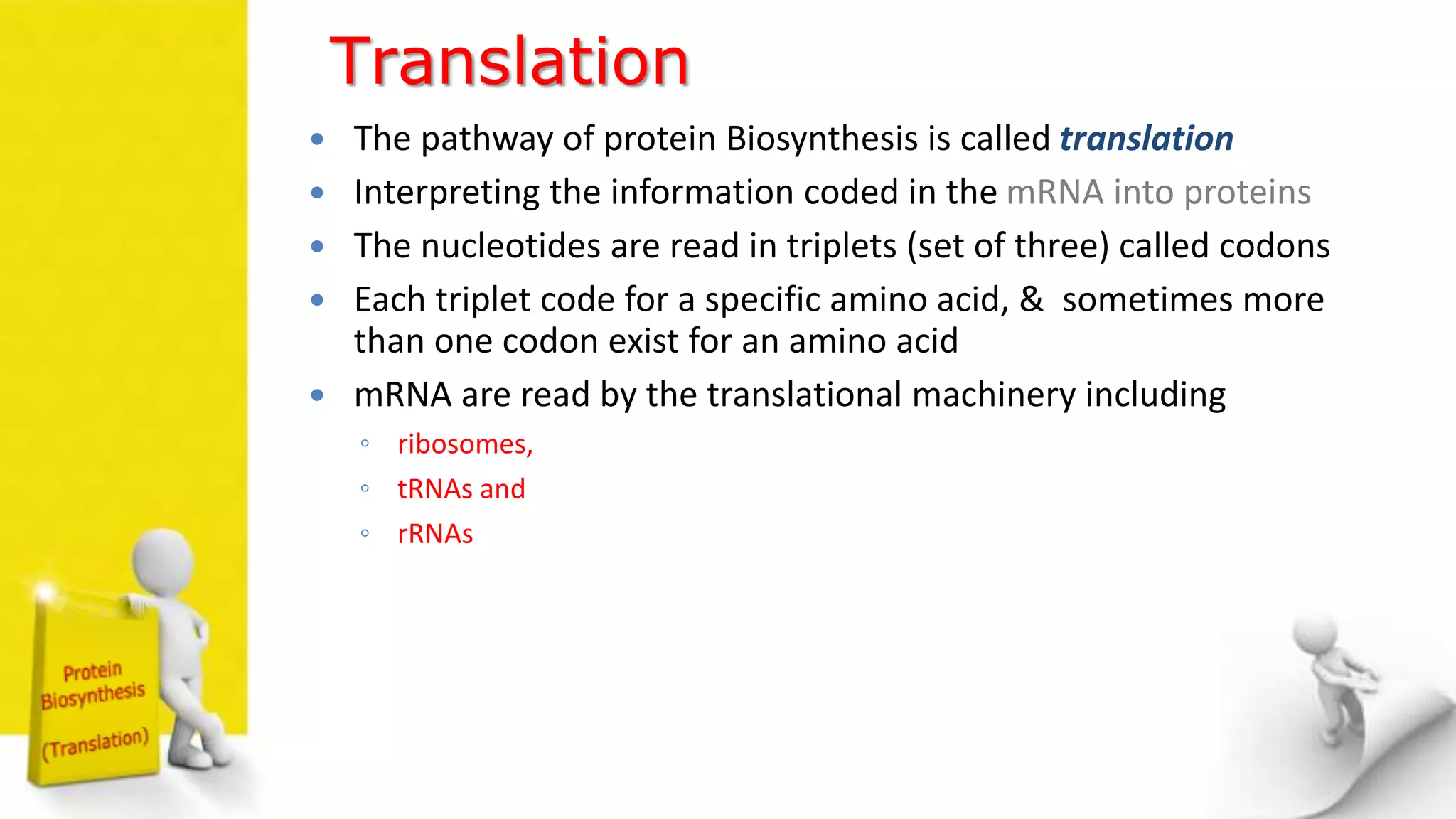 Protein biosynthesis (translation) | PPSX