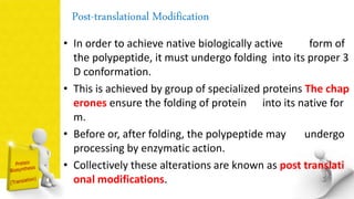 Protein biosynthesis (translation) | PPSX