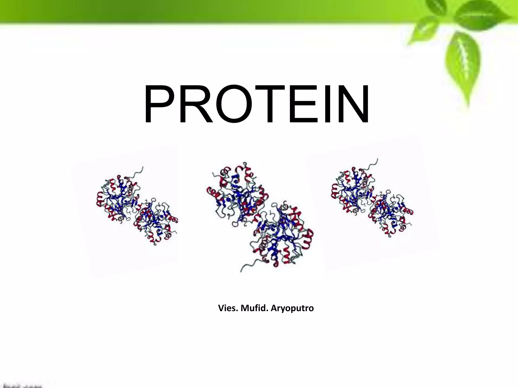 Protein biokimia | PPTX