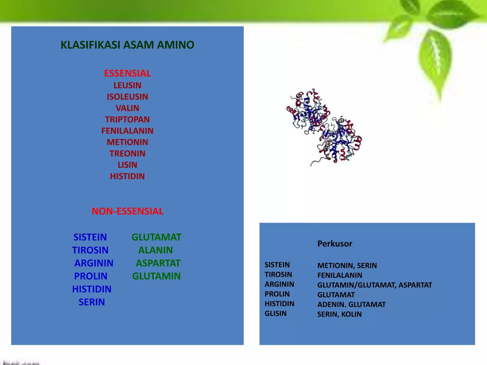 Protein biokimia | PPTX