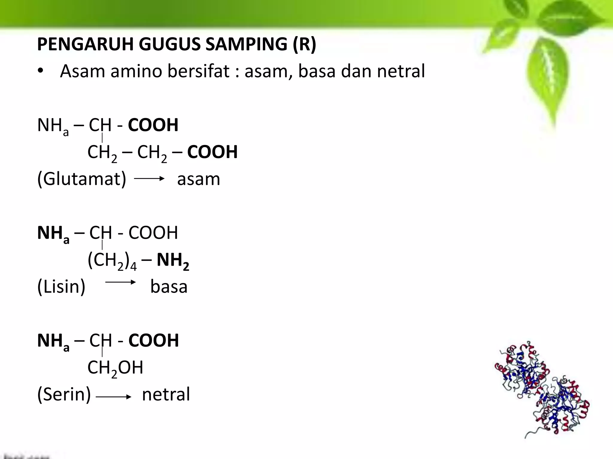 Protein biokimia | PPTX