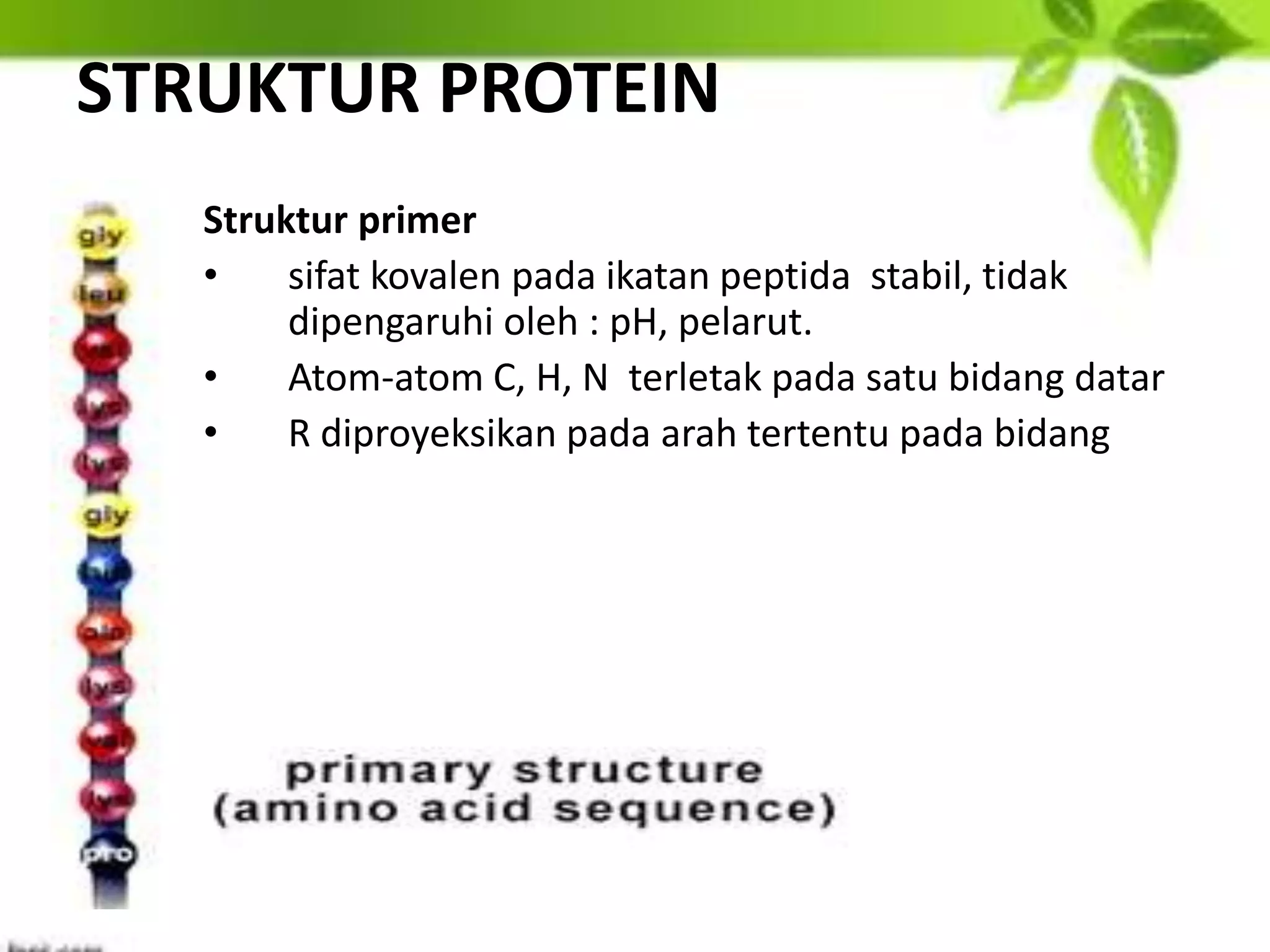 Protein biokimia | PPTX