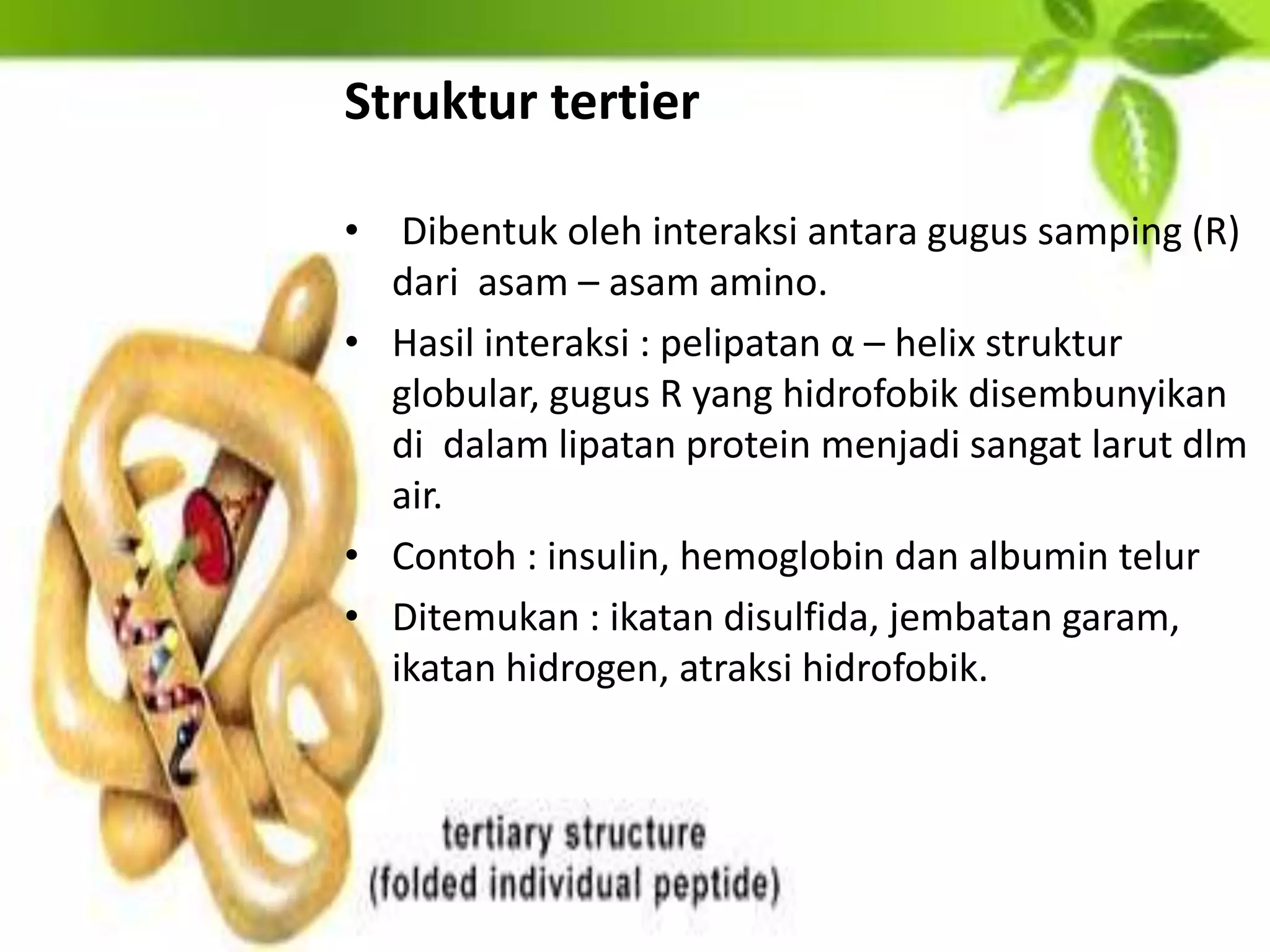 Protein biokimia | PPTX