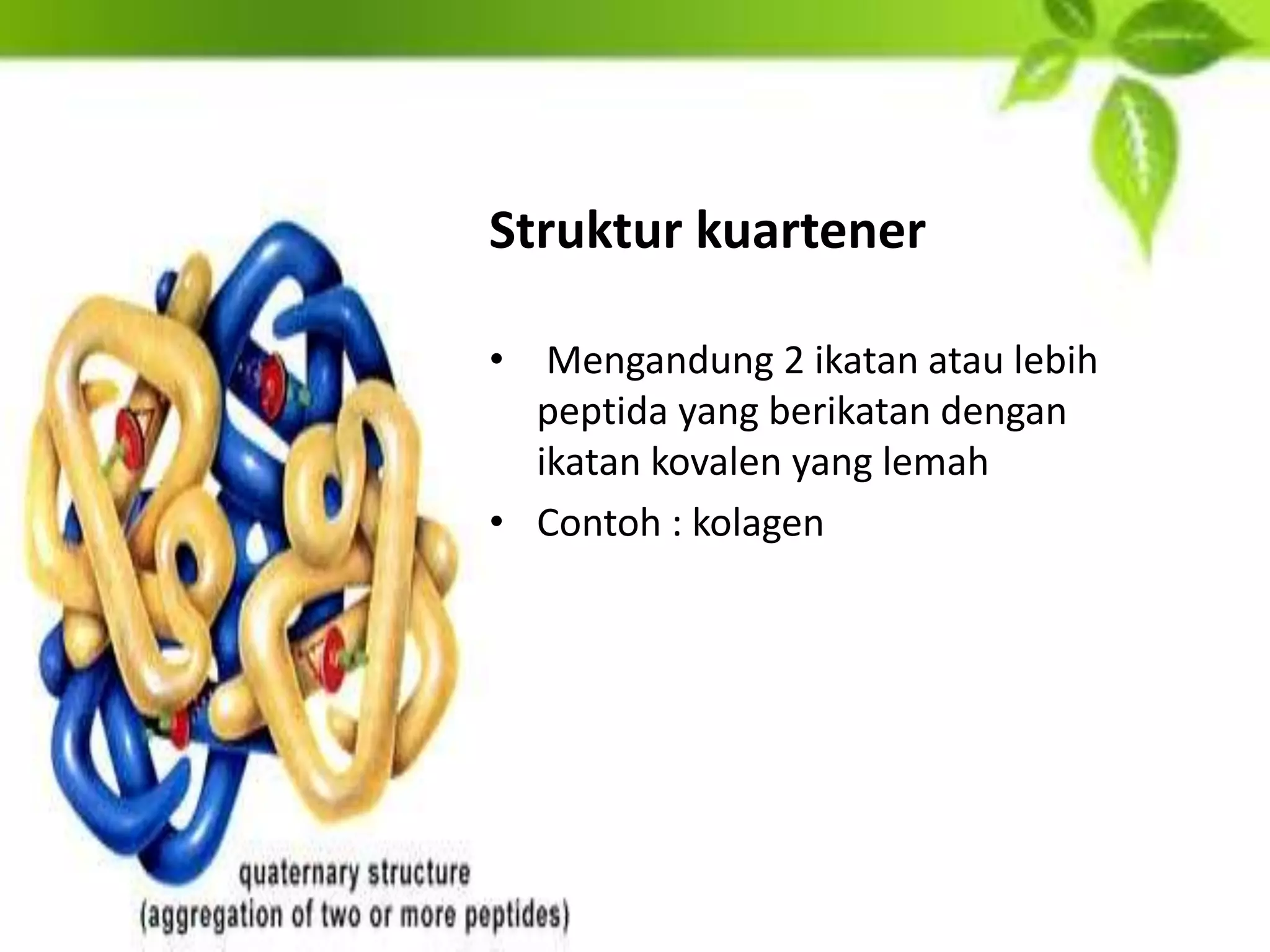 Protein biokimia | PPTX