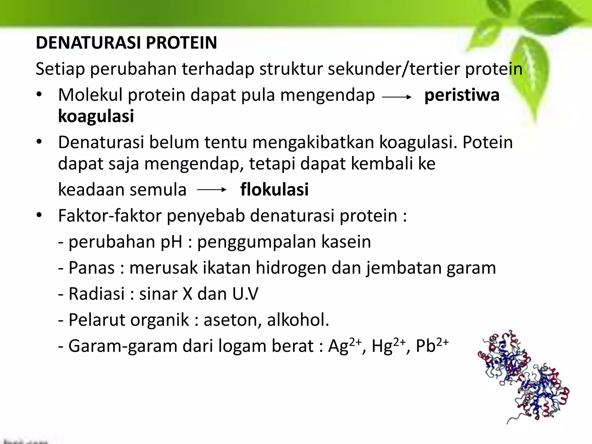 Protein biokimia | PPTX
