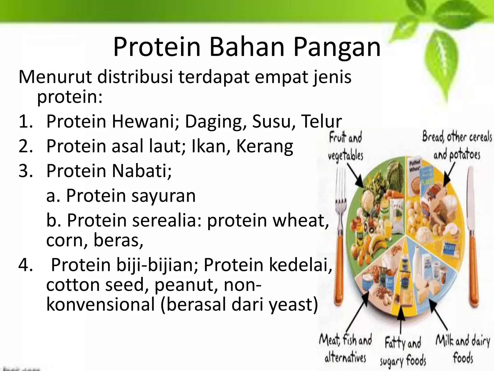 Protein biokimia | PPTX