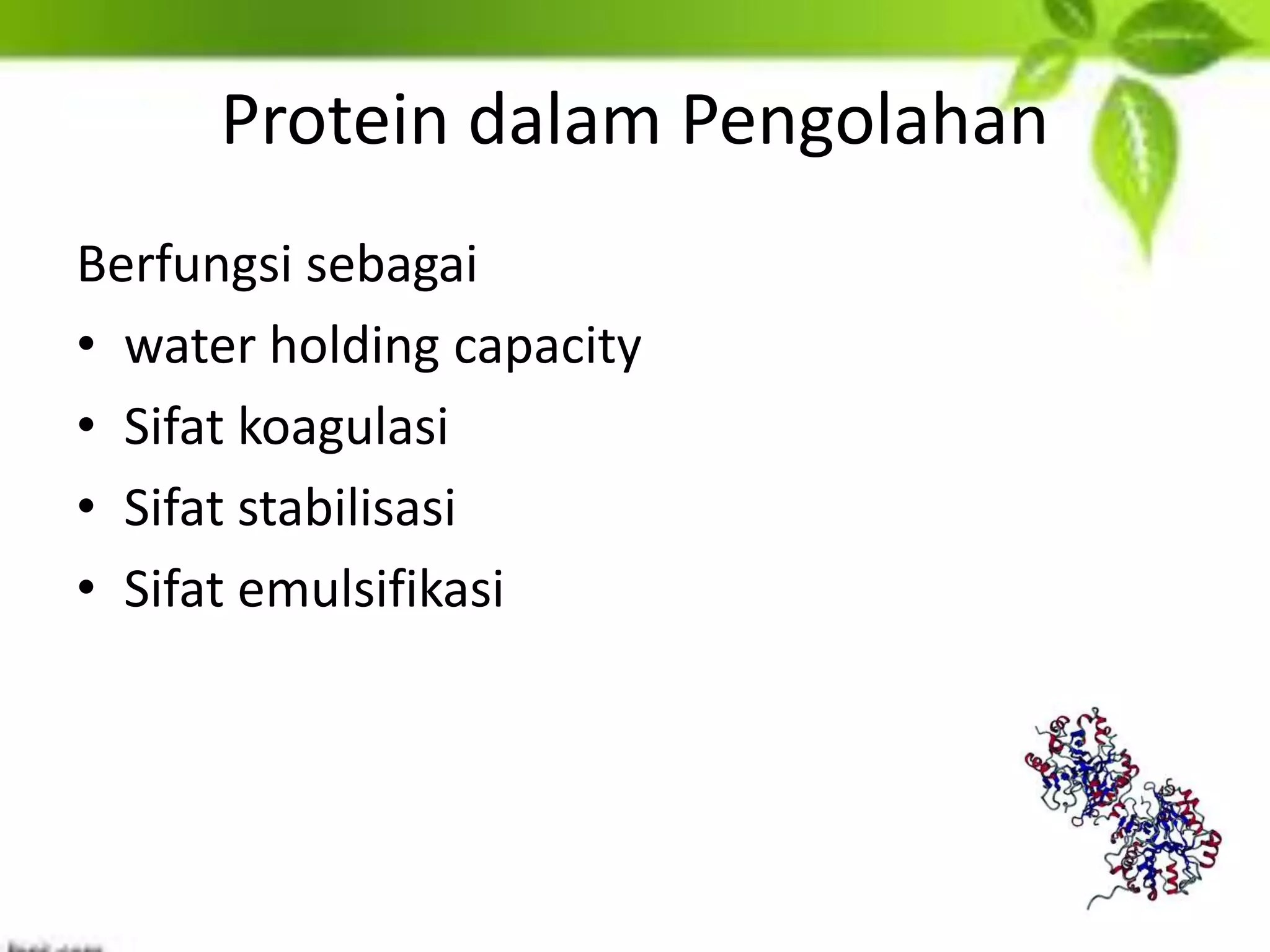 Protein biokimia | PPTX