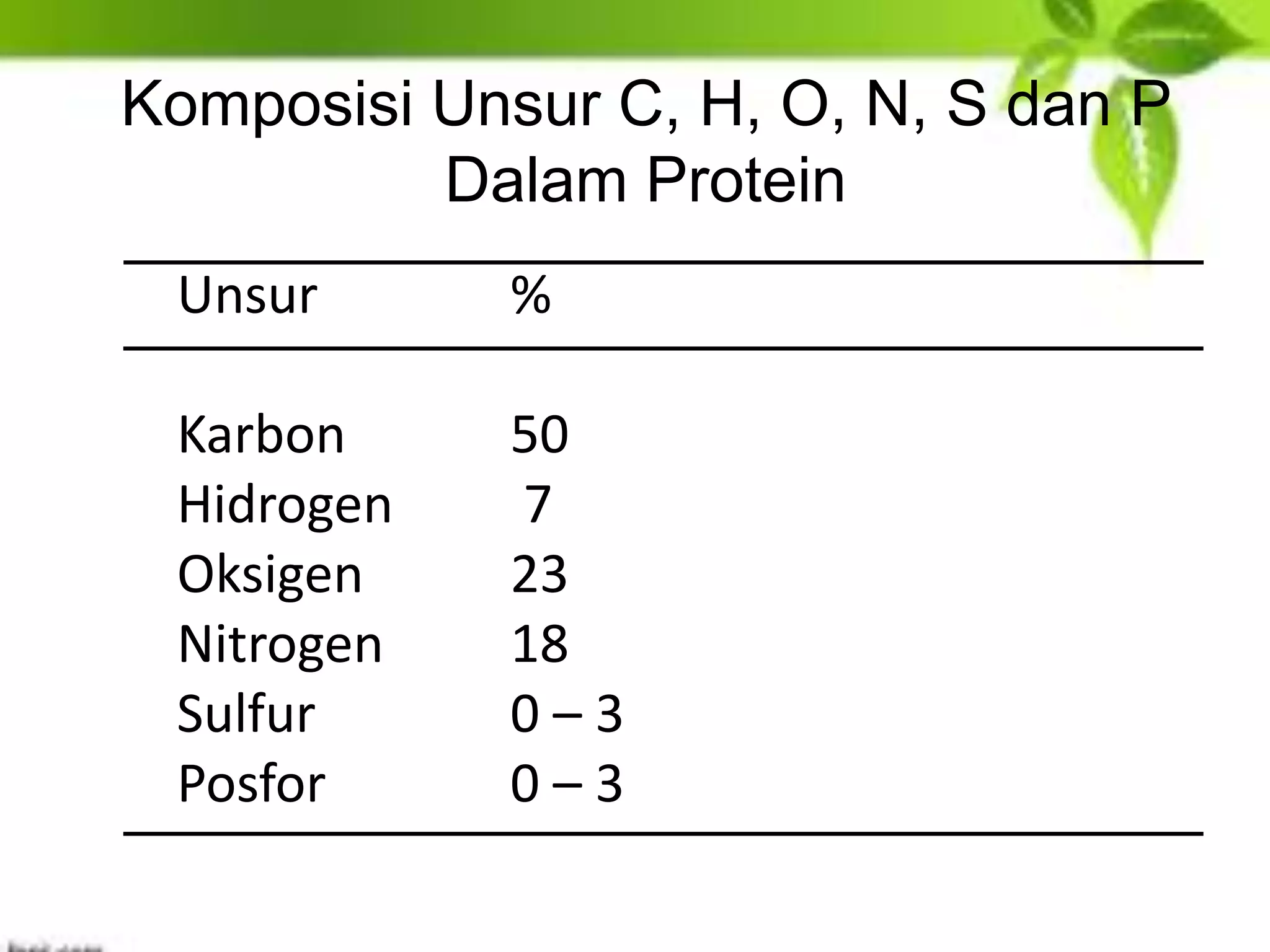 Protein biokimia | PPTX