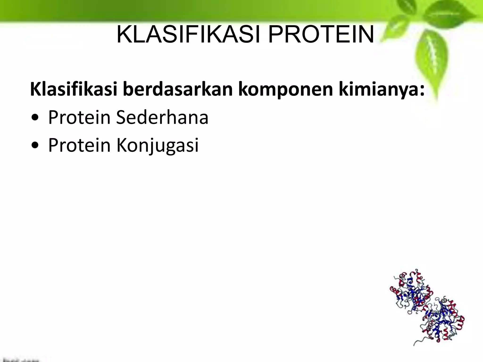 Protein biokimia | PPTX