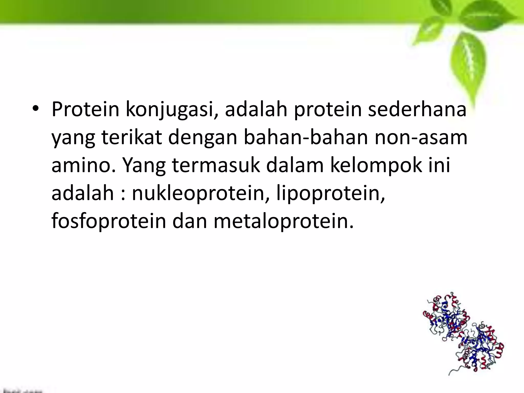 Protein biokimia | PPTX