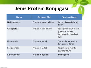 Protein biokimia | PPTX