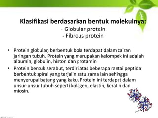 Protein biokimia | PPTX