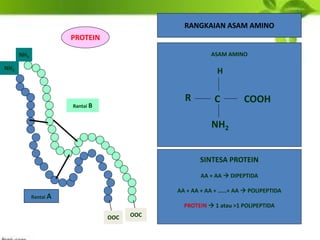 Protein biokimia | PPTX