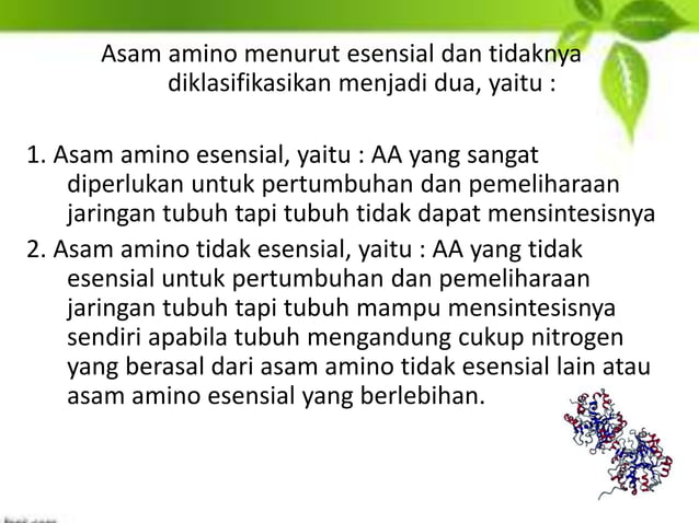 Protein biokimia | PPTX