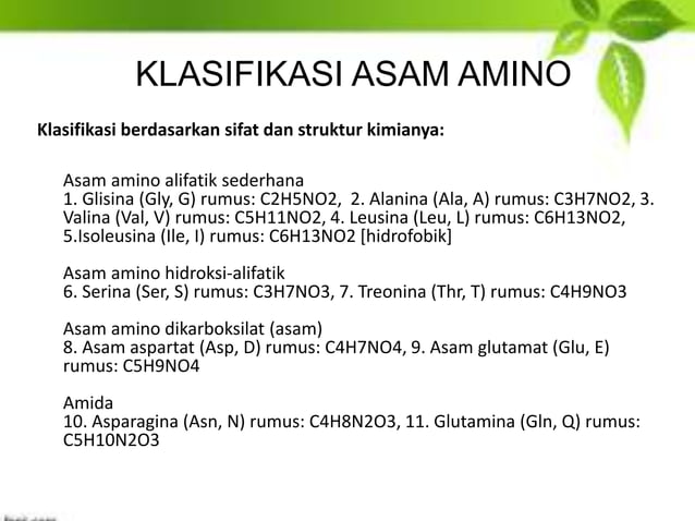 Protein biokimia | PPTX