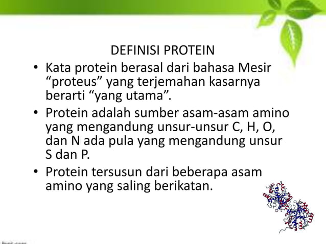 Protein biokimia | PPTX