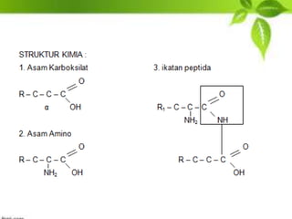 Protein biokimia | PPTX