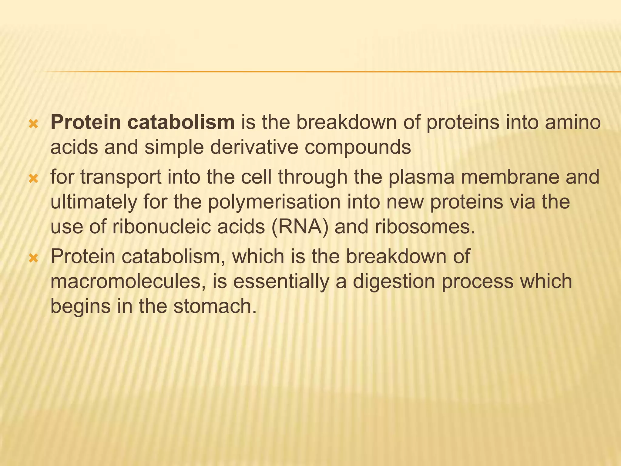 Protein catabolism | PPTX
