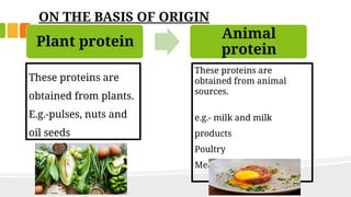 PROTEIN chapter 3.pptx Protein is a nutrient your body needs to grow ...