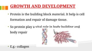 PROTEIN chapter 3.pptx Protein is a nutrient your body needs to grow ...