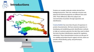 Protein characterization | PDF