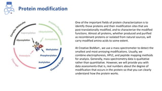 Protein characterization | PDF
