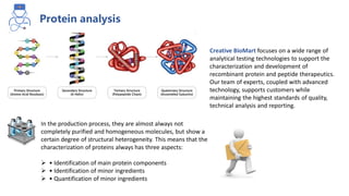 Protein characterization | PDF