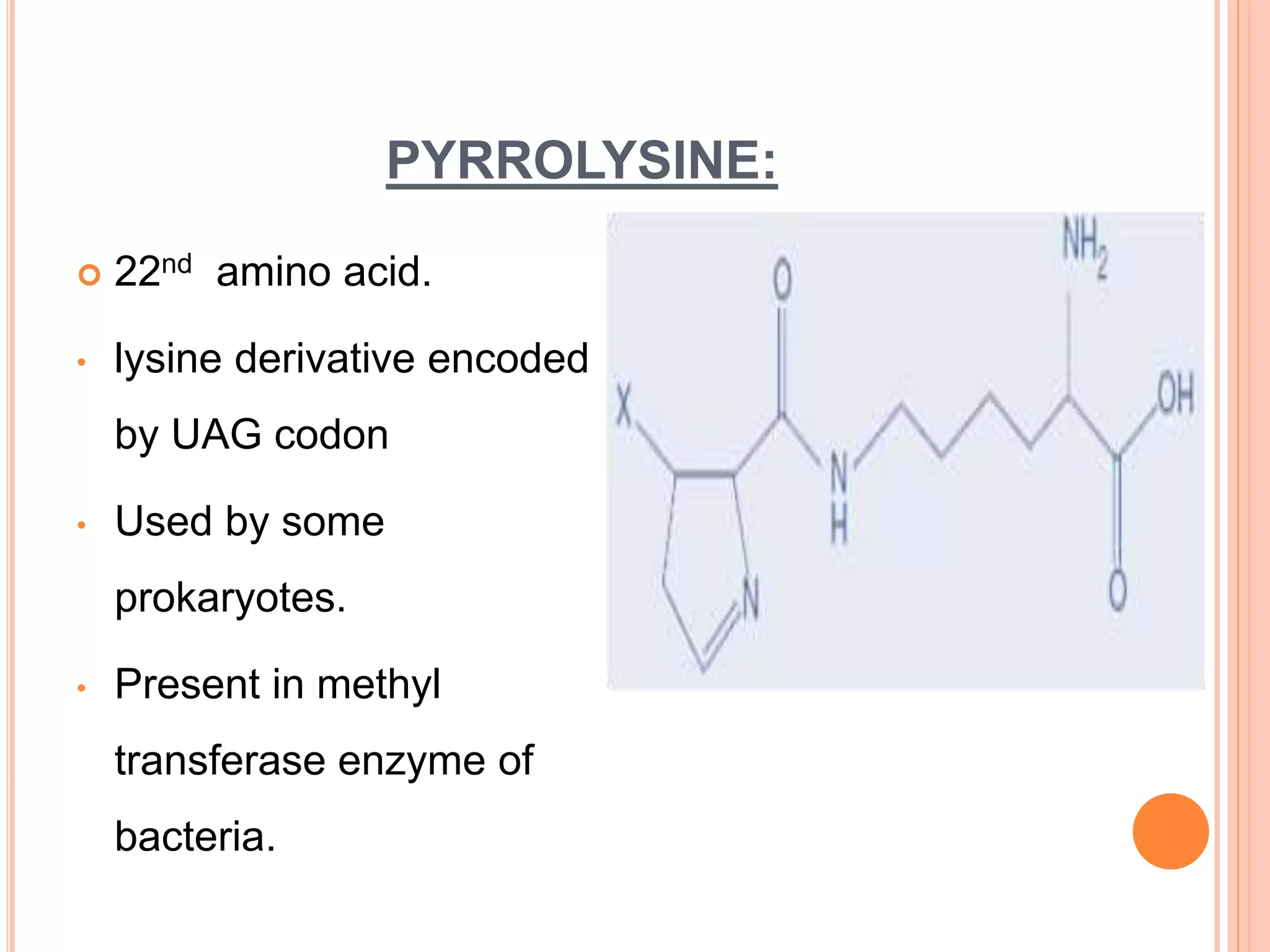 Protein chemistry P1 by Dr. Anurag Yadav | PPTX