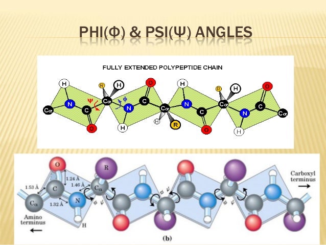 Protein chemistry-ii anu