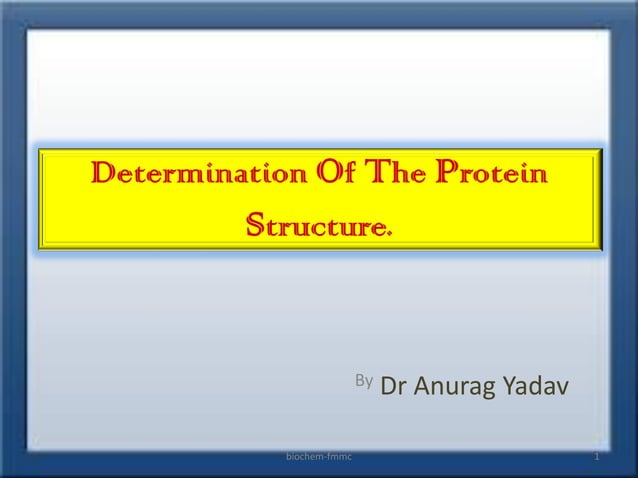 Determination of protein structure by Dr. Anurag Yadav | PDF ...