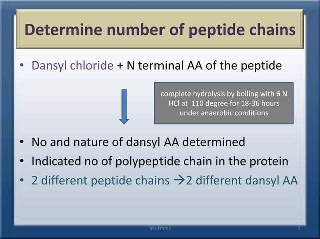 Determination of protein structure by Dr. Anurag Yadav | PDF ...