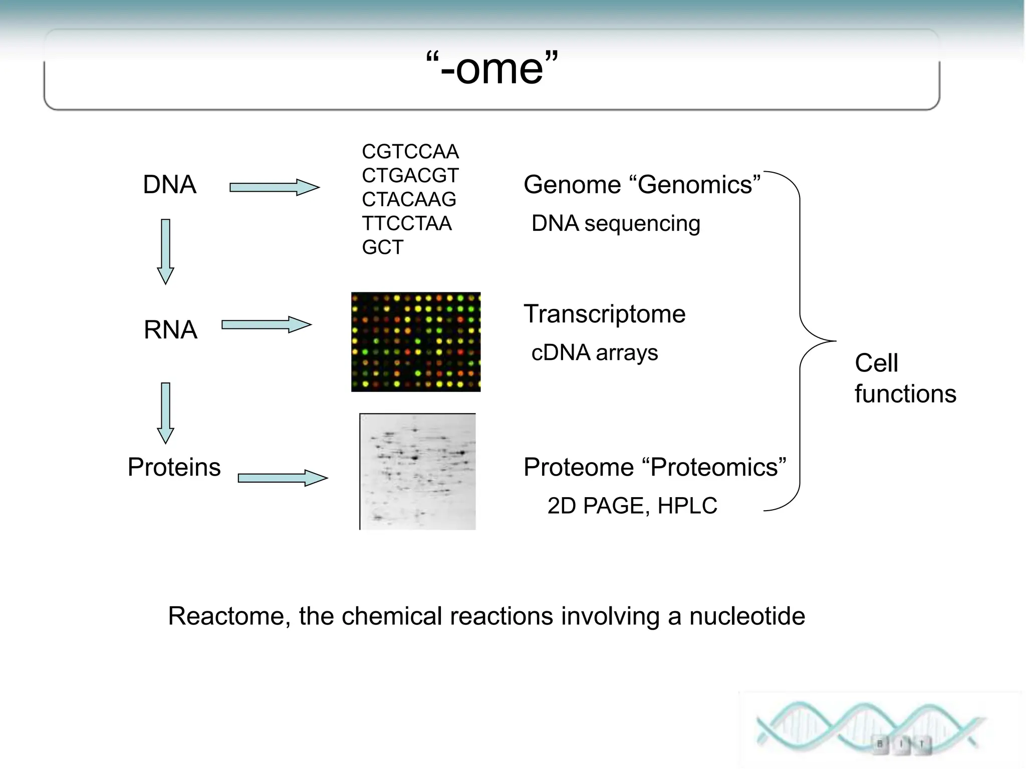 Protein Chemistry-Proteomics-Lec1_Intro.ppt
