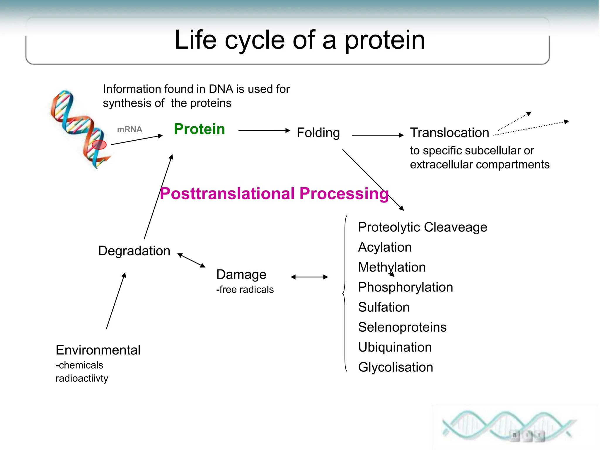 Protein Chemistry-Proteomics-Lec1_Intro.ppt