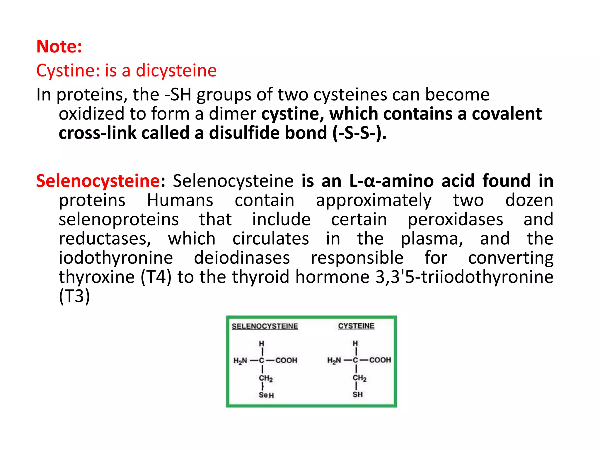 Protein chemistry 1 | PPTX