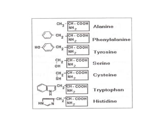 Protein chemistry 1 | PPT